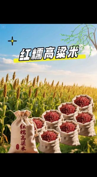 红高粱米能降血糖吗_红高粱米怎么吃最养生-第1张图片-山城妙识