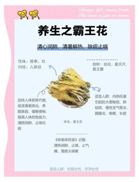 鲜霸王花煲汤的做法大全_鲜霸王花煲汤有什么功效-第2张图片-山城妙识 鲜霸王花煲汤的做法大全_鲜霸王花煲汤有什么功效-第2张图片-山城妙识