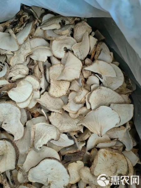 竹菌多少钱一斤_竹菌价格行情-第2张图片-山城妙识 竹菌多少钱一斤_竹菌价格行情-第2张图片-山城妙识
