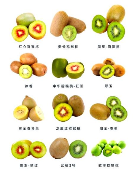 奇异果怎么去皮_奇异果去皮最简单的方法-第1张图片-山城妙识