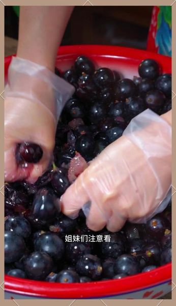 家里自制葡萄酒方法_自制葡萄酒常见问题-第2张图片-山城妙识