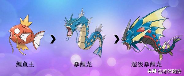鲤鱼王几级进化_鲤鱼王进化图怎么看-第3张图片-山城妙识