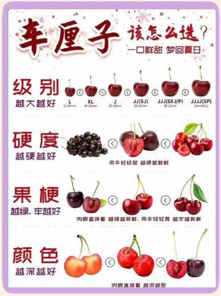 车厘子怎么保存时间长一点_车厘子冷藏还是常温-第1张图片-山城妙识