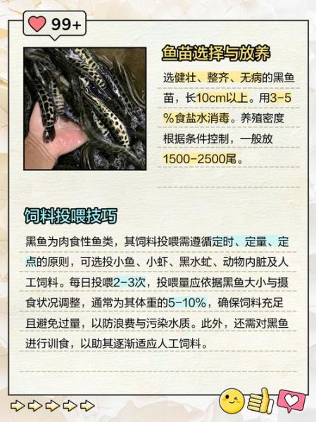 黑鱼养殖成本是多少_黑鱼养殖周期多久-第3张图片-山城妙识