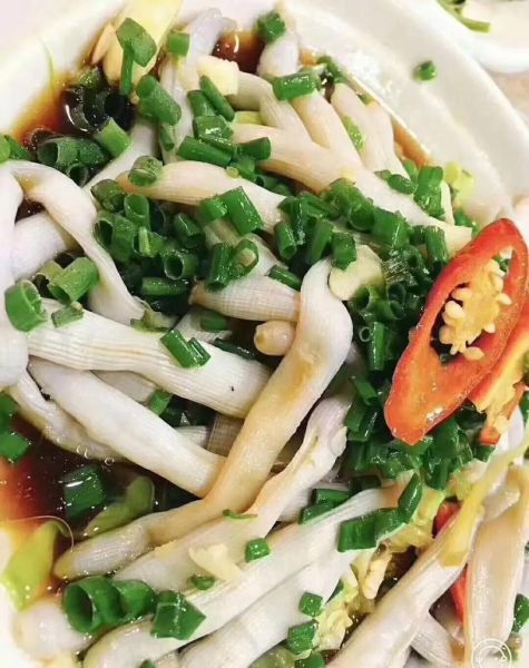 沙虫怎么做好吃_沙虫干价格多少钱一斤-第2张图片-山城妙识