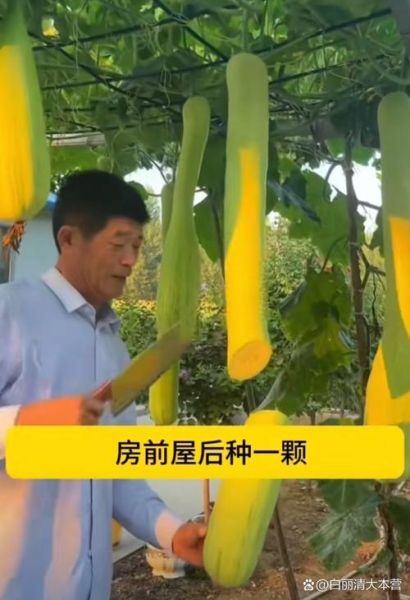 砍瓜怎么吃_砍瓜的做法大全-第2张图片-山城妙识