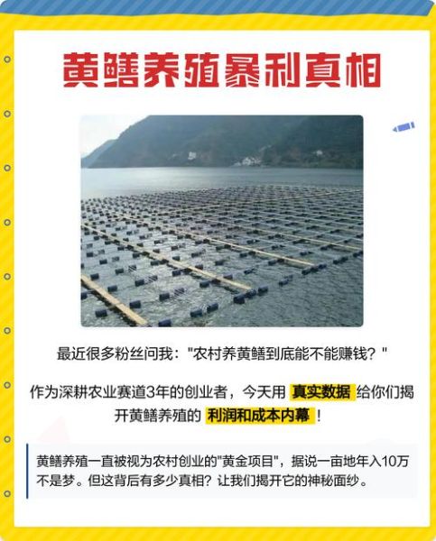 黄鳝养殖成本多少_黄鳝养殖利润怎么样-第1张图片-山城妙识 黄鳝养殖成本多少_黄鳝养殖利润怎么样-第1张图片-山城妙识