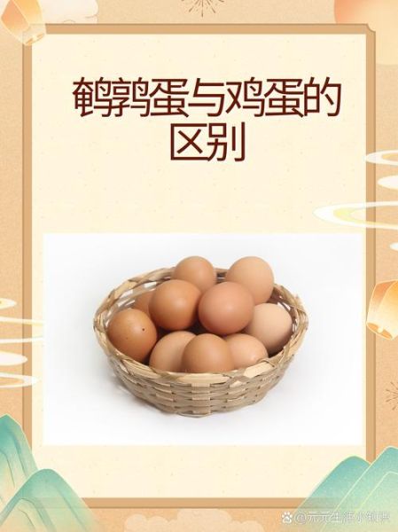 鹌鹑蛋和鸡蛋哪个营养价值高_鹌鹑蛋和鸡蛋的区别-第3张图片-山城妙识