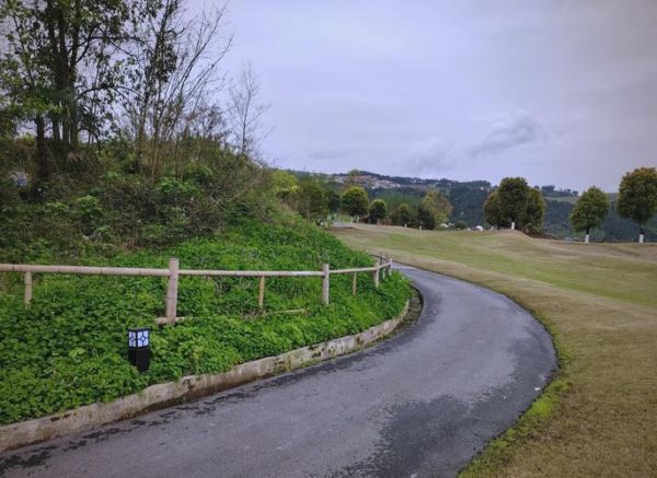 金荞麦的功效与作用及禁忌_金荞麦泡水喝的副作用-第2张图片-山城妙识