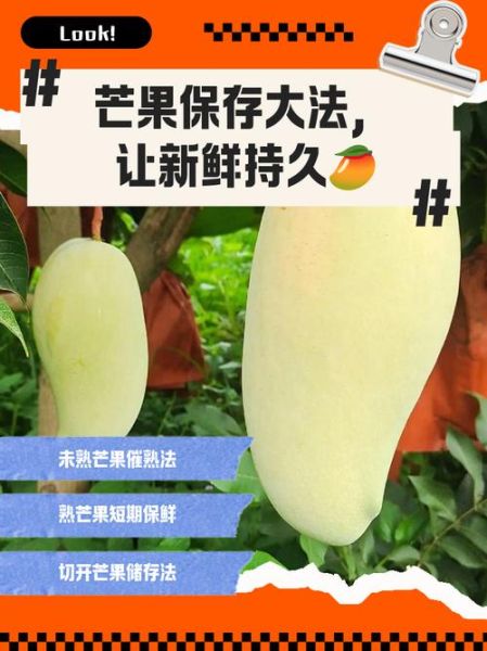 芒果怎么挑选_芒果保存方法-第3张图片-山城妙识