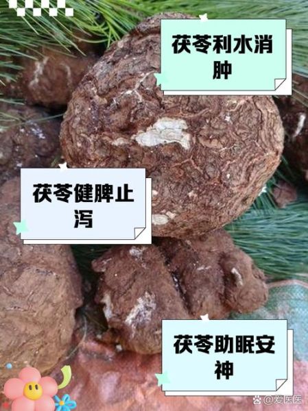 茯苓有什么功效与作用_茯苓怎么吃效果最好-第2张图片-山城妙识 茯苓有什么功效与作用_茯苓怎么吃效果最好-第2张图片-山城妙识