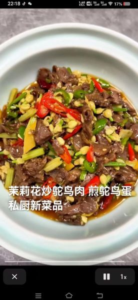 鸵鸟肉怎么做_鸵鸟肉怎么做好吃-第2张图片-山城妙识