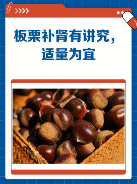 板栗补肾吗_有什么道理-第3张图片-山城妙识 板栗补肾吗_有什么道理-第3张图片-山城妙识
