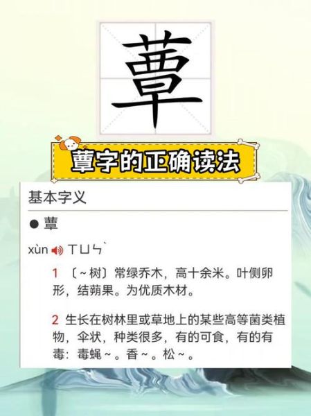 菇的拼音怎么写_菇的拼音是几声-第2张图片-山城妙识