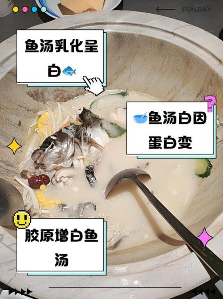鱼汤怎么变白_鱼汤变白的小窍门-第1张图片-山城妙识 鱼汤怎么变白_鱼汤变白的小窍门-第1张图片-山城妙识