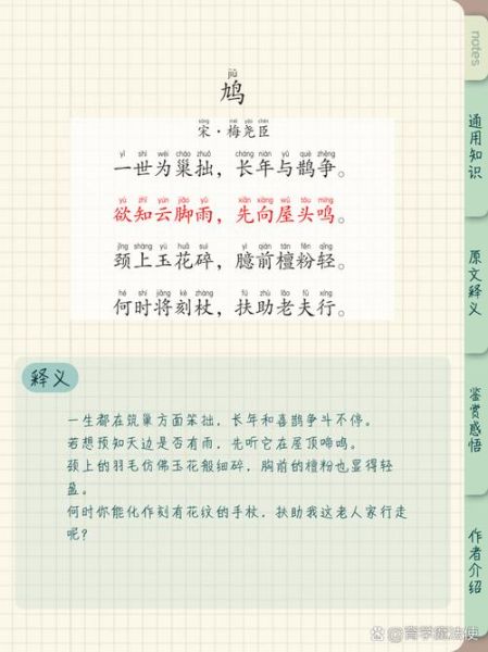 鸽子兮是什么_鸽子兮怎么读-第1张图片-山城妙识