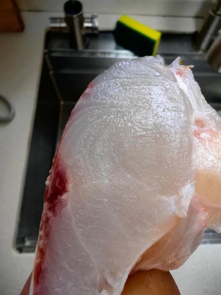 海鲻鱼多少钱一斤_海鲻鱼价格行情-第3张图片-山城妙识