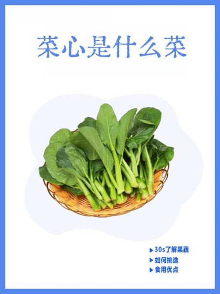 菜心品种图片大全_如何挑选高产菜心-第3张图片-山城妙识