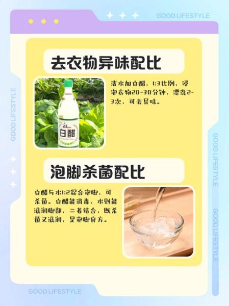 白醋泡脚的比例是多少_泡脚用白醋兑水比例-第1张图片-山城妙识 白醋泡脚的比例是多少_泡脚用白醋兑水比例-第1张图片-山城妙识