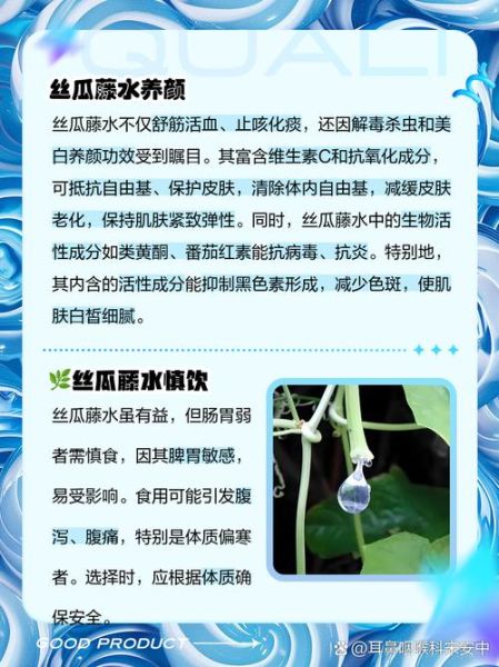 丝瓜水的功效与作用_丝瓜水的禁忌有哪些-第1张图片-山城妙识 丝瓜水的功效与作用_丝瓜水的禁忌有哪些-第1张图片-山城妙识