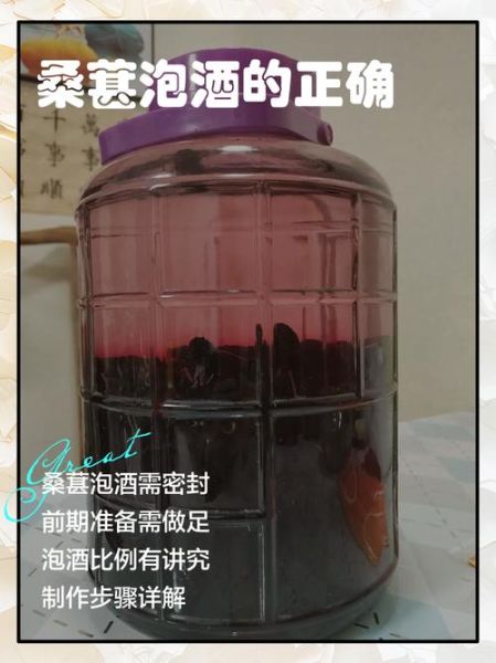 白酒泡桑葚酒的做法_桑葚酒泡多久可以喝-第3张图片-山城妙识
