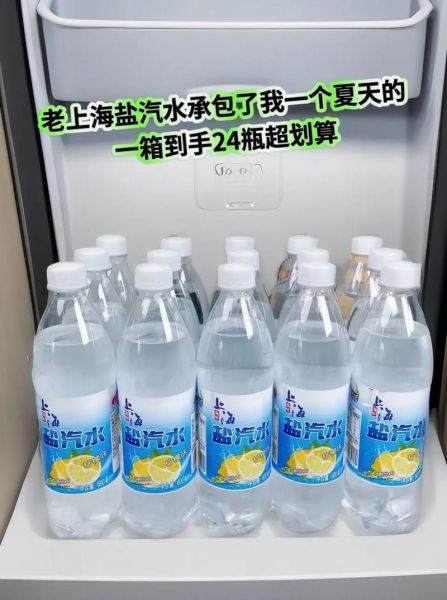 盐汽水多少钱一瓶_盐汽水价格为什么差异大-第3张图片-山城妙识