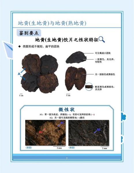 生地黄和熟地黄的区别_哪个更适合你-第1张图片-山城妙识