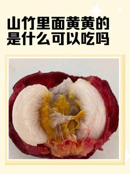 山竹里面黄黄的是什么_能不能吃-第1张图片-山城妙识