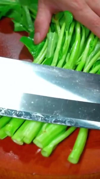 空心菜怎么炒好吃_空心菜图片大全-第1张图片-山城妙识 空心菜怎么炒好吃_空心菜图片大全-第1张图片-山城妙识