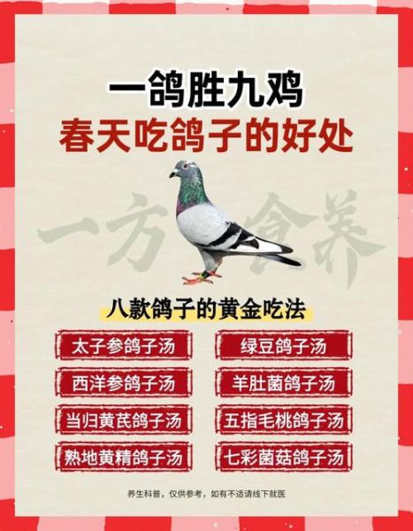 怎么炖鸽子汤好喝_鸽子汤去腥增香的秘诀-第1张图片-山城妙识 怎么炖鸽子汤好喝_鸽子汤去腥增香的秘诀-第1张图片-山城妙识