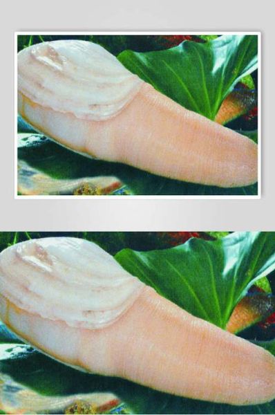 象拔蚌app下载_如何安全安装最新版-第2张图片-山城妙识 象拔蚌app下载_如何安全安装最新版-第2张图片-山城妙识