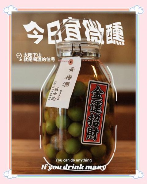 酒酿小青梅po小花猫_怎么做才好吃-第2张图片-山城妙识 酒酿小青梅po小花猫_怎么做才好吃-第2张图片-山城妙识