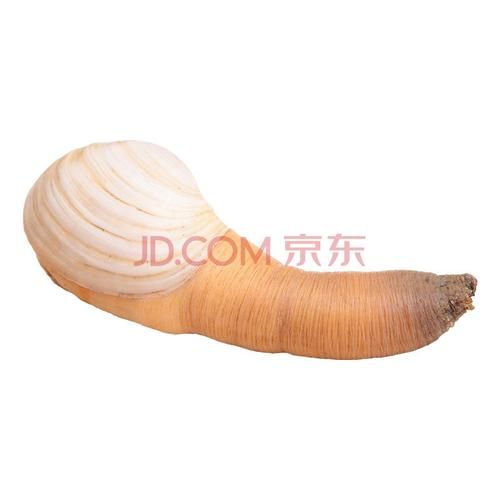 象拔蚌app下载_如何安全安装最新版-第3张图片-山城妙识 象拔蚌app下载_如何安全安装最新版-第3张图片-山城妙识