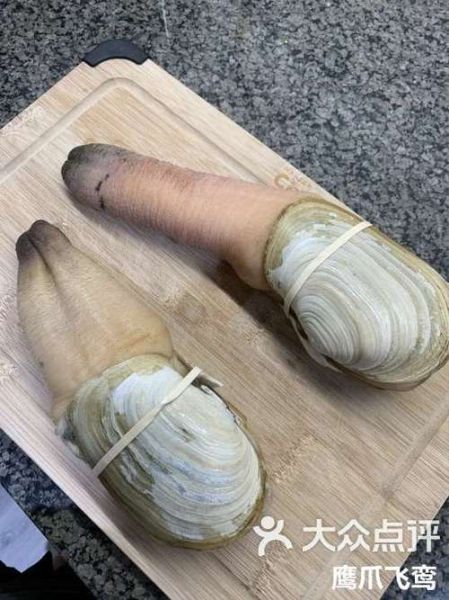 象拔蚌app下载_如何安全安装最新版-第1张图片-山城妙识 象拔蚌app下载_如何安全安装最新版-第1张图片-山城妙识