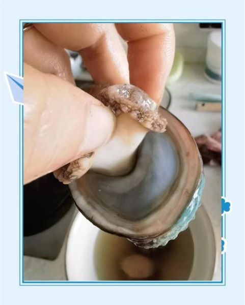 新鲜鲍鱼怎么杀_鲍鱼清洗步骤-第1张图片-山城妙识 新鲜鲍鱼怎么杀_鲍鱼清洗步骤-第1张图片-山城妙识