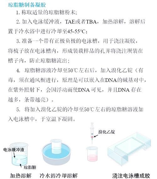 琼脂糖凝胶电泳缓冲液配方_跑胶条带模糊怎么办-第1张图片-山城妙识