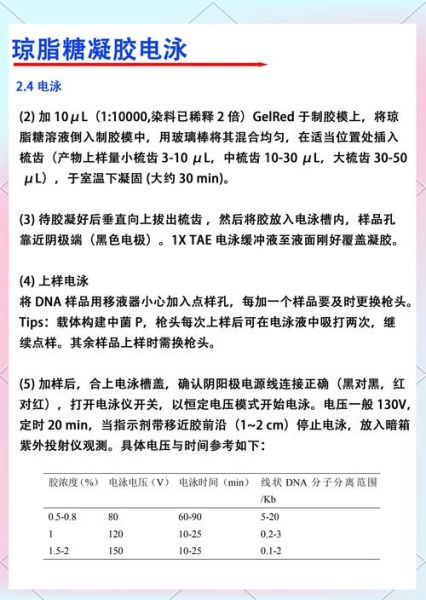 琼脂糖凝胶电泳缓冲液配方_跑胶条带模糊怎么办-第2张图片-山城妙识