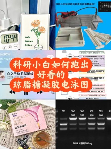 琼脂糖凝胶电泳缓冲液配方_跑胶条带模糊怎么办-第3张图片-山城妙识