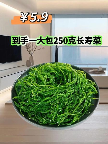 长寿菜是什么菜_长寿菜怎么吃最好-第1张图片-山城妙识 长寿菜是什么菜_长寿菜怎么吃最好-第1张图片-山城妙识