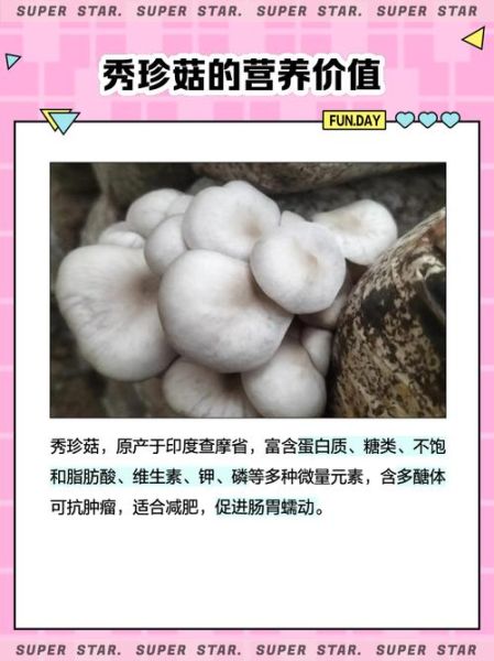 秀珍菇的功效与作用_秀珍菇怎么吃最营养-第1张图片-山城妙识 秀珍菇的功效与作用_秀珍菇怎么吃最营养-第1张图片-山城妙识