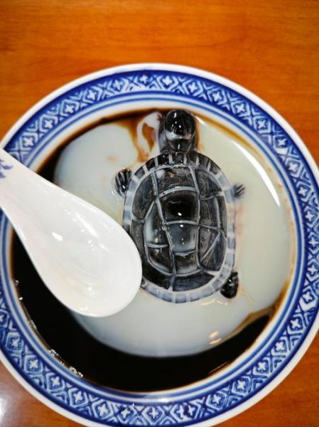 龟苓膏粉怎么做_龟苓膏粉配方比例-第3张图片-山城妙识