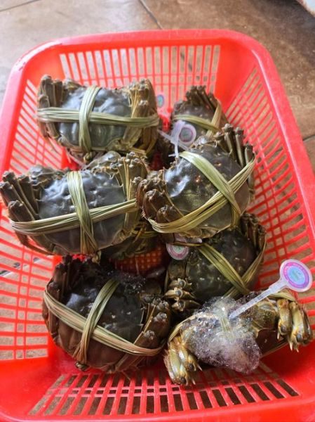 阳澄湖吃大闸蟹哪里最正宗_阳澄湖吃大闸蟹哪家最好-第2张图片-山城妙识 阳澄湖吃大闸蟹哪里最正宗_阳澄湖吃大闸蟹哪家最好-第2张图片-山城妙识