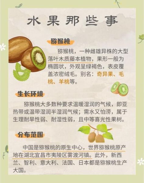 猕猴桃的作用与功效有哪些_吃猕猴桃能美白吗-第1张图片-山城妙识 猕猴桃的作用与功效有哪些_吃猕猴桃能美白吗-第1张图片-山城妙识