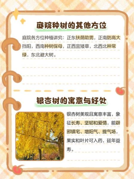 银杏树适合种在庭院吗_银杏树几年结果-第3张图片-山城妙识 银杏树适合种在庭院吗_银杏树几年结果-第3张图片-山城妙识