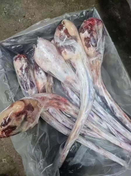 牛尾价格多少钱一斤_牛尾为什么这么贵-第1张图片-山城妙识 牛尾价格多少钱一斤_牛尾为什么这么贵-第1张图片-山城妙识