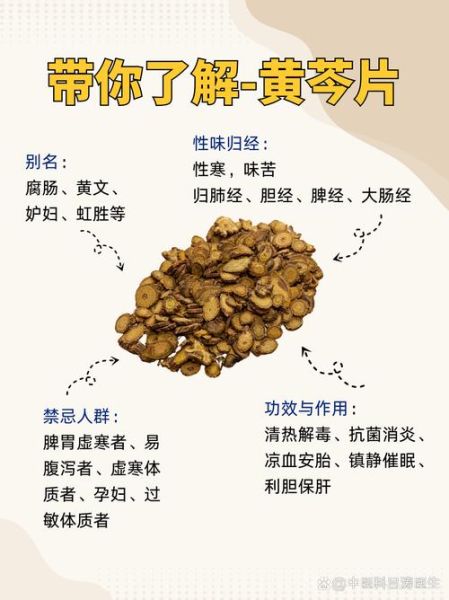 黄芩伤不伤脾胃_黄芩苦寒伤胃吗-第2张图片-山城妙识 黄芩伤不伤脾胃_黄芩苦寒伤胃吗-第2张图片-山城妙识