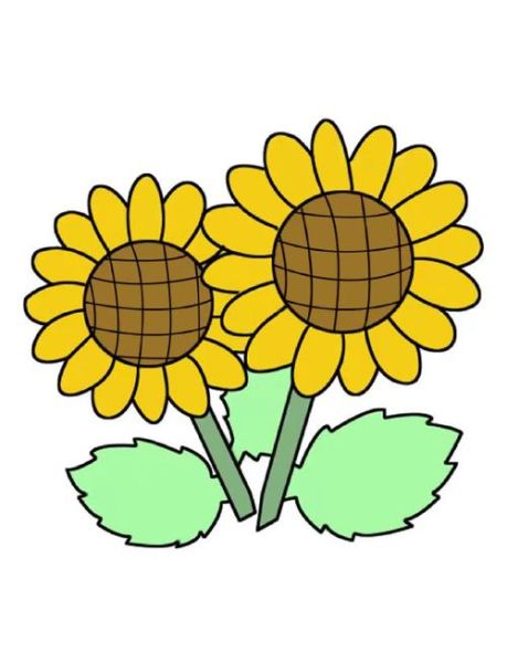 向日葵简笔画怎么画_向日葵图片简笔画教程-第1张图片-山城妙识 向日葵简笔画怎么画_向日葵图片简笔画教程-第1张图片-山城妙识
