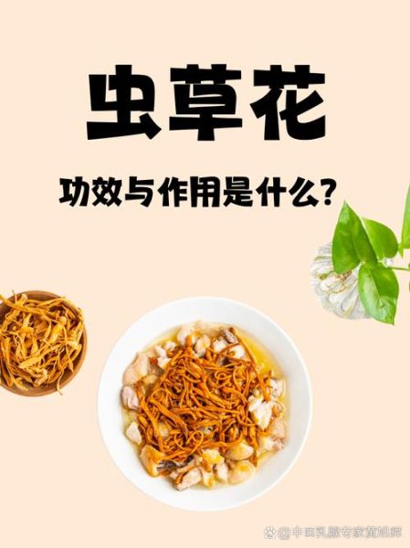 虫草花怎么吃最好_虫草花功效与禁忌-第2张图片-山城妙识 虫草花怎么吃最好_虫草花功效与禁忌-第2张图片-山城妙识