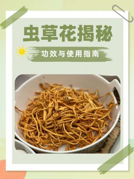 虫草花怎么吃最好_虫草花功效与禁忌-第3张图片-山城妙识 虫草花怎么吃最好_虫草花功效与禁忌-第3张图片-山城妙识