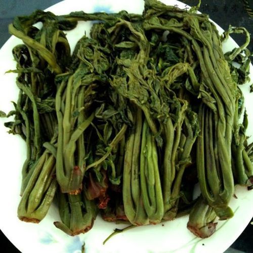 香椿芽咸菜怎么腌制_香椿芽咸菜腌制方法-第2张图片-山城妙识 香椿芽咸菜怎么腌制_香椿芽咸菜腌制方法-第2张图片-山城妙识